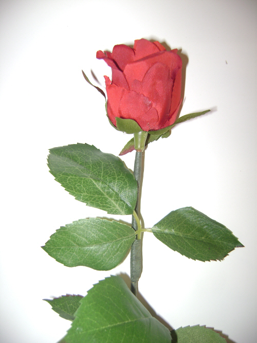 Professional Appearing Flower - Powell Magic