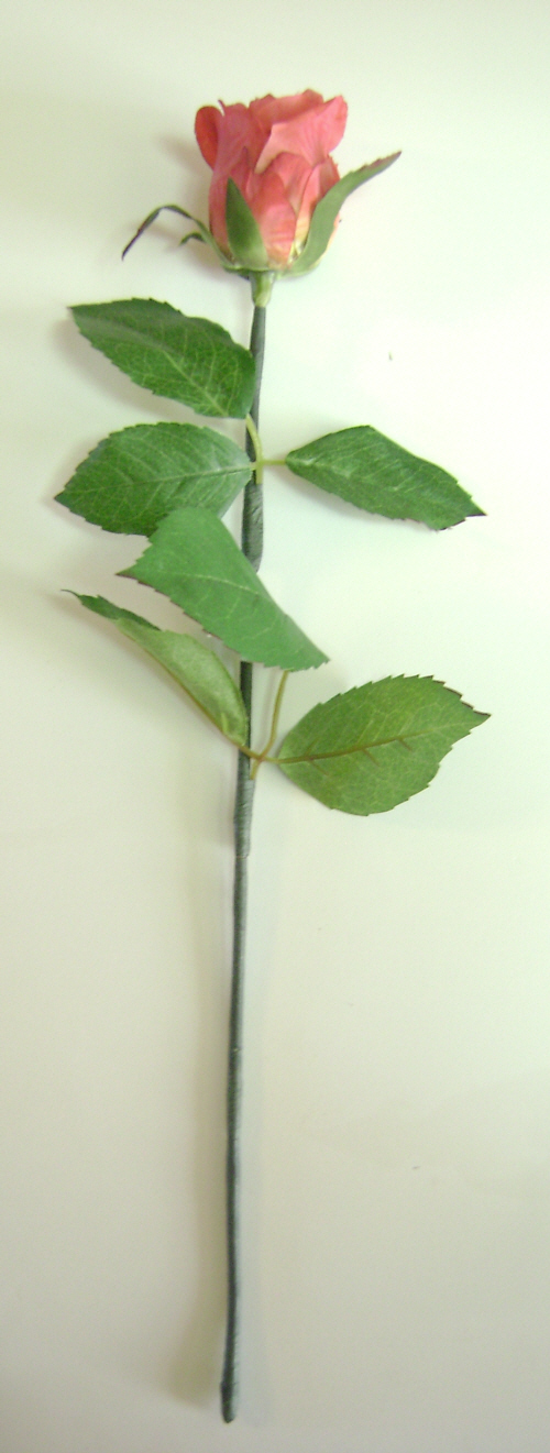 Professional Appearing Flower - Powell Magic