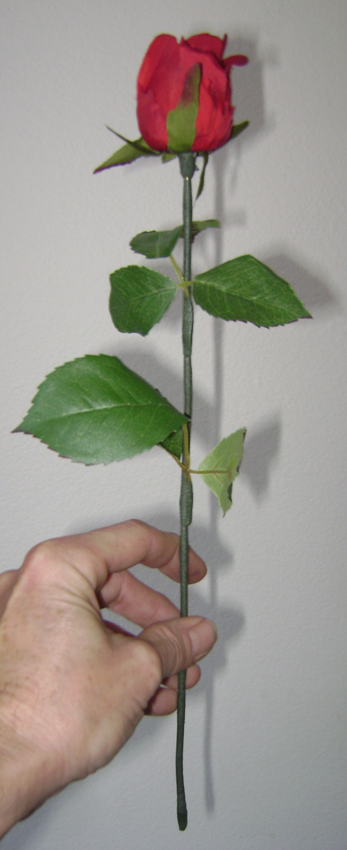 Professional Appearing Flower - Powell Magic