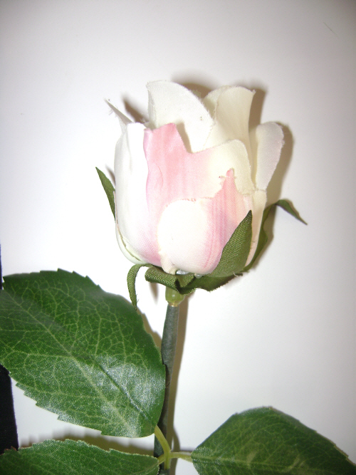 Professional Appearing Flower - Powell Magic